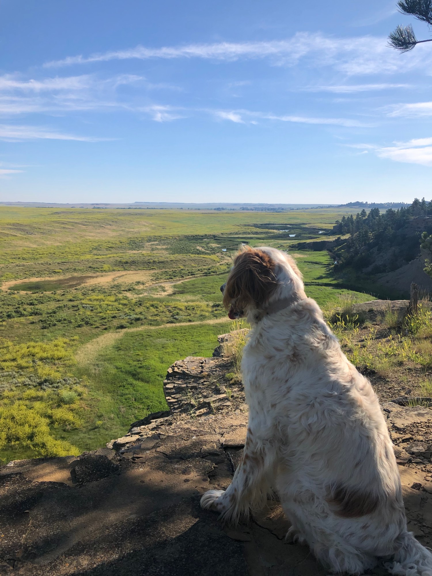 Coulee Country – Coulee Creek Ranch